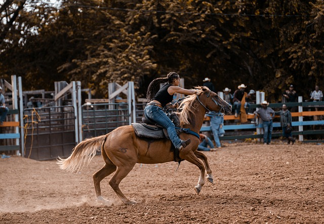 Cowgirl Woman Rodeo - Free photo on Pixabay - Pixabay
