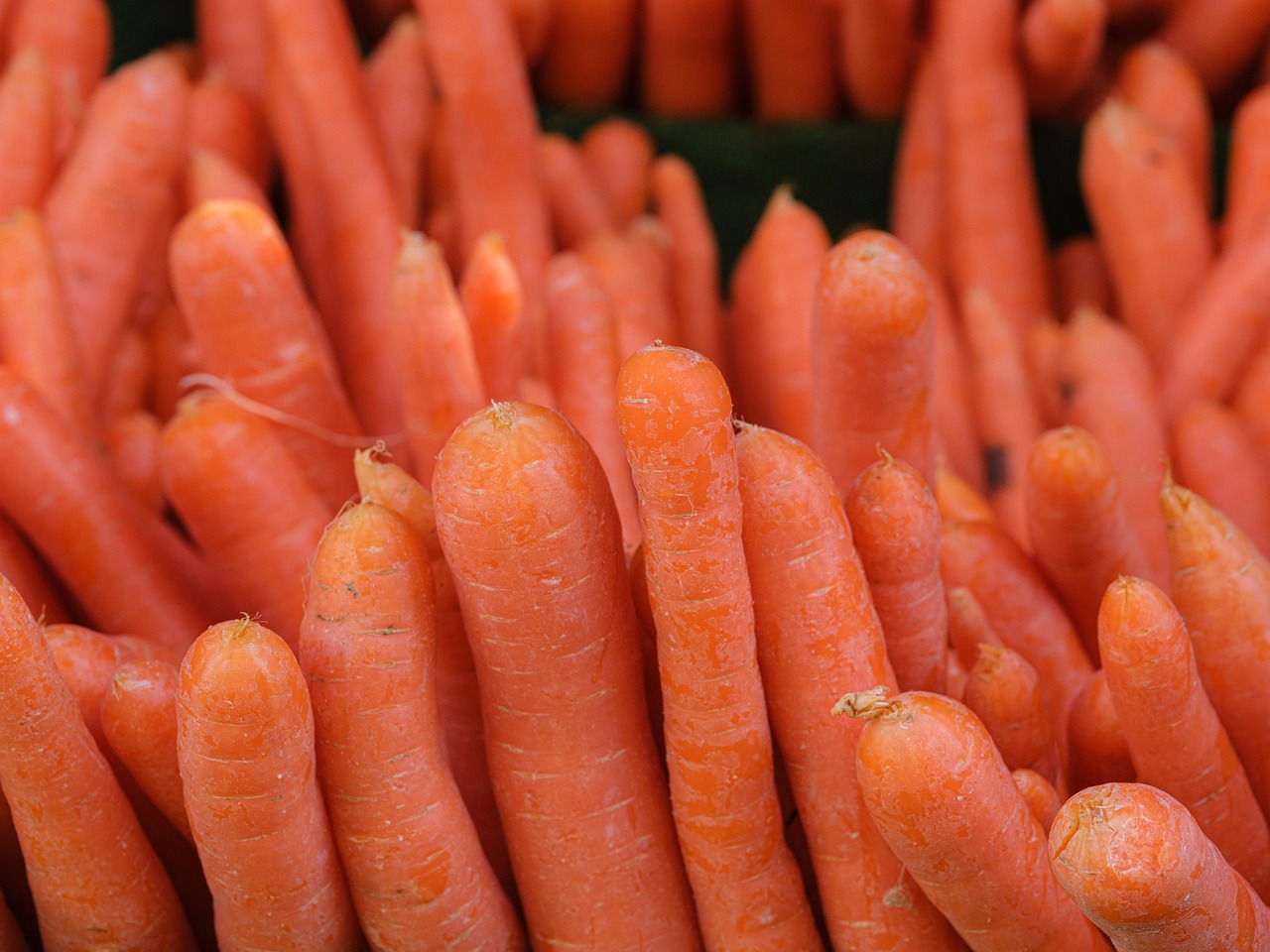 Les Carottes Des Légumes Aliments - Photo gratuite sur Pixabay - Pixabay