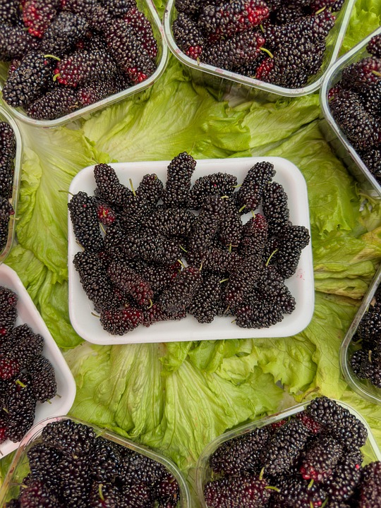 Mulberry Fruit Food - Free photo on Pixabay - Pixabay