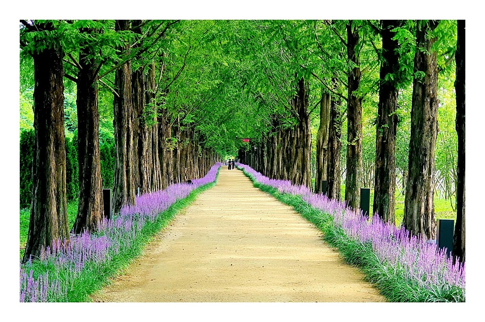 Gyeongsangnam-Do Yeongcheon Uroji - Pixabay'de ücretsiz fotoğraf - Pixabay