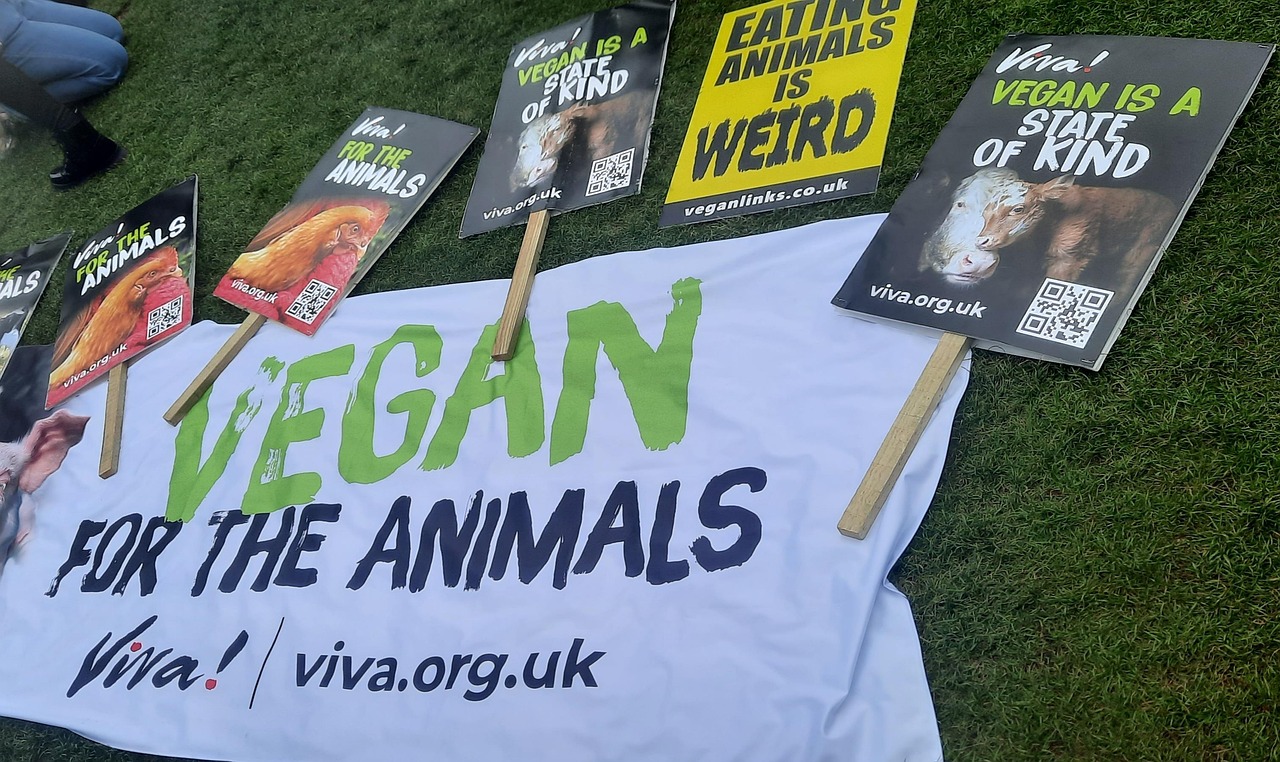 Vegan Animal Freedom Movement - Free photo on Pixabay - Pixabay