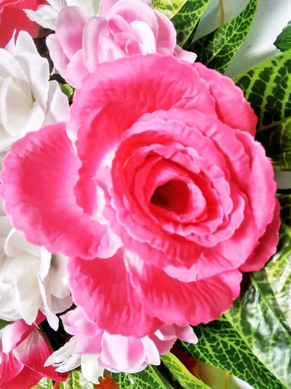 Fleur Naturel Magnifique - Photo gratuite sur Pixabay - Pixabay