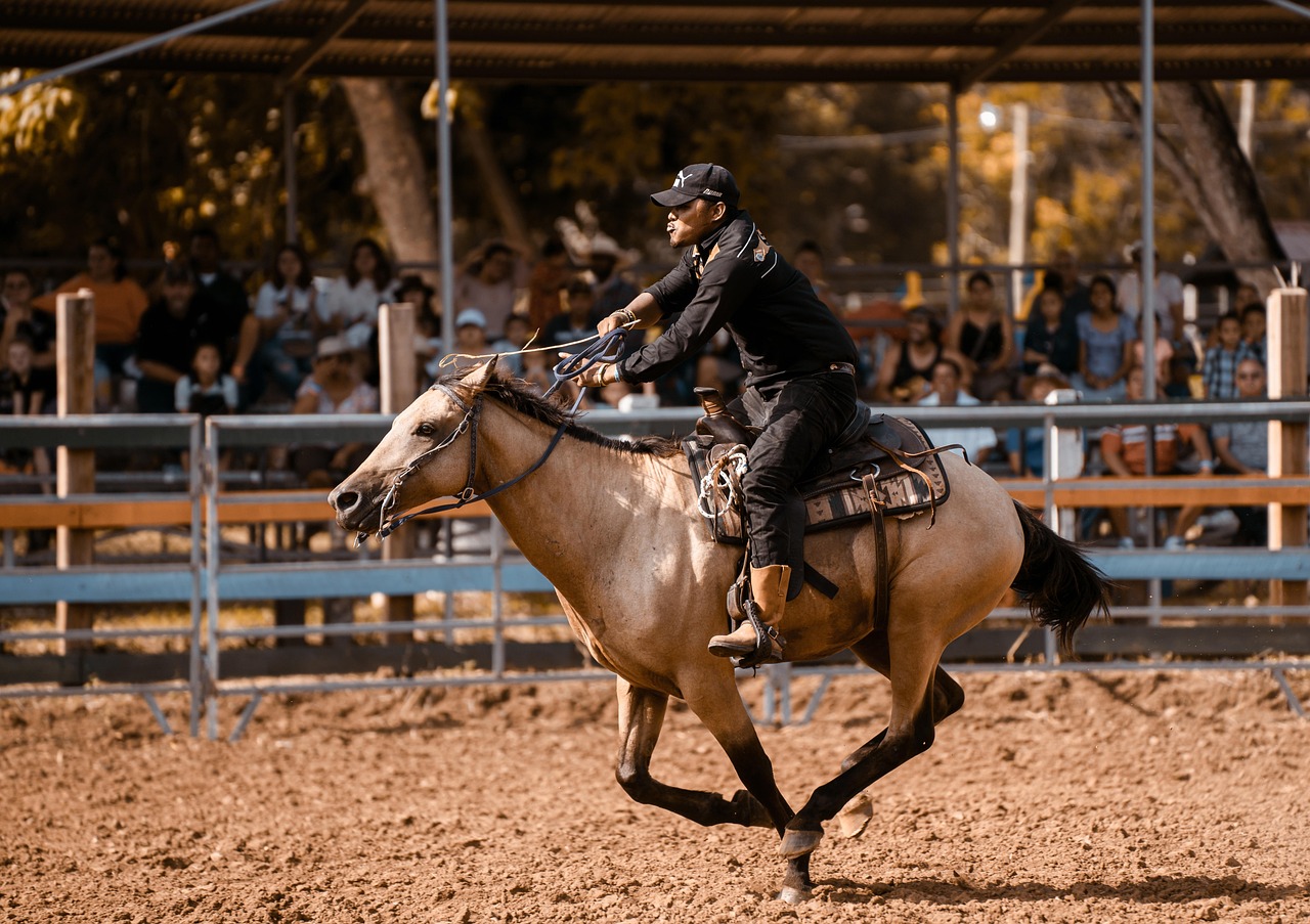 300+ Free Rodeo & Cowboy Images - Pixabay