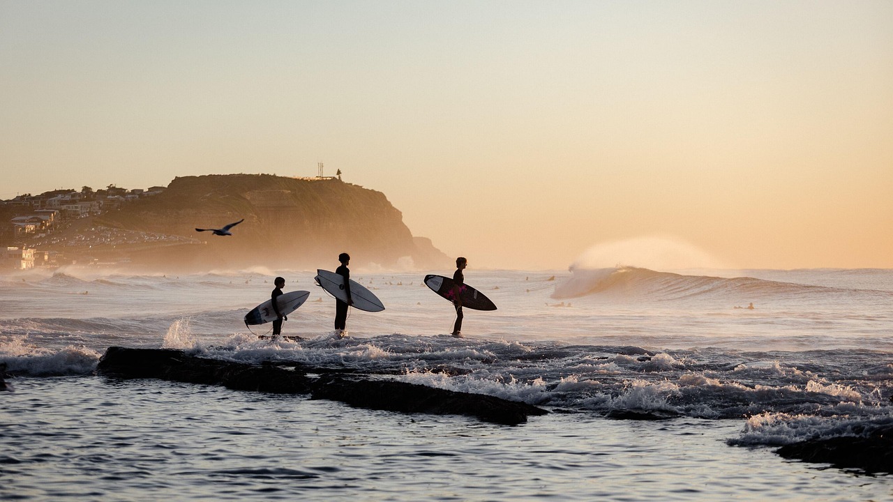 Ocean Swimmer Surfing - Free photo on Pixabay - Pixabay