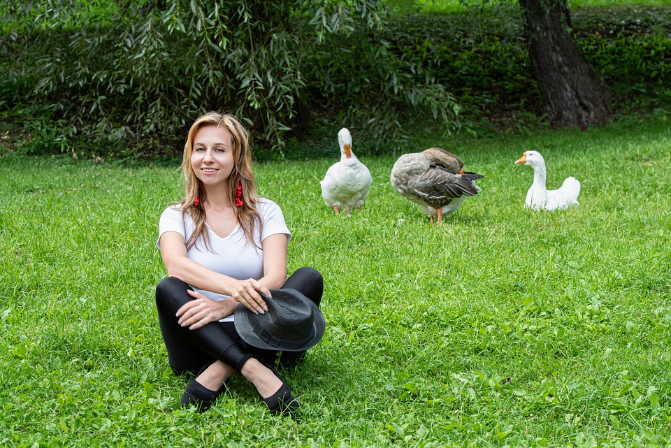 Meadow Woman Geese - Free photo on Pixabay
