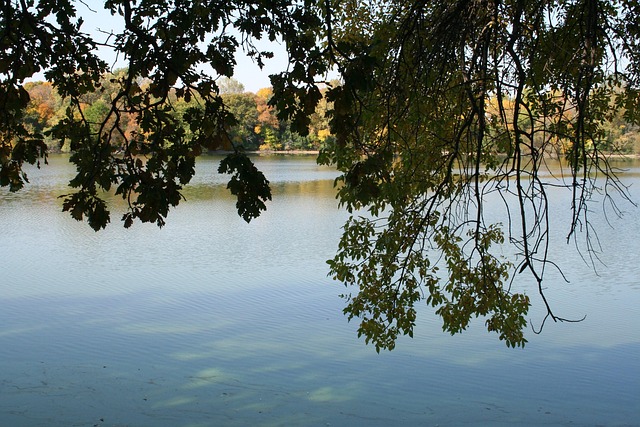 Lac Printre Copaci Ape Linistite - Fotografie gratuită pe Pixabay