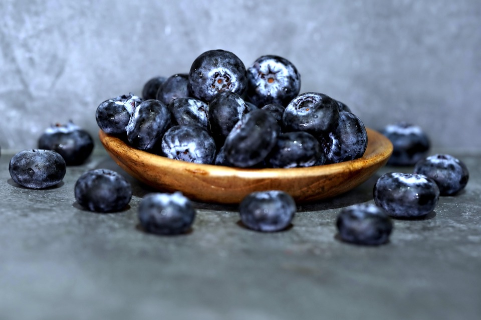 African Blueberry - Free photo on Pixabay