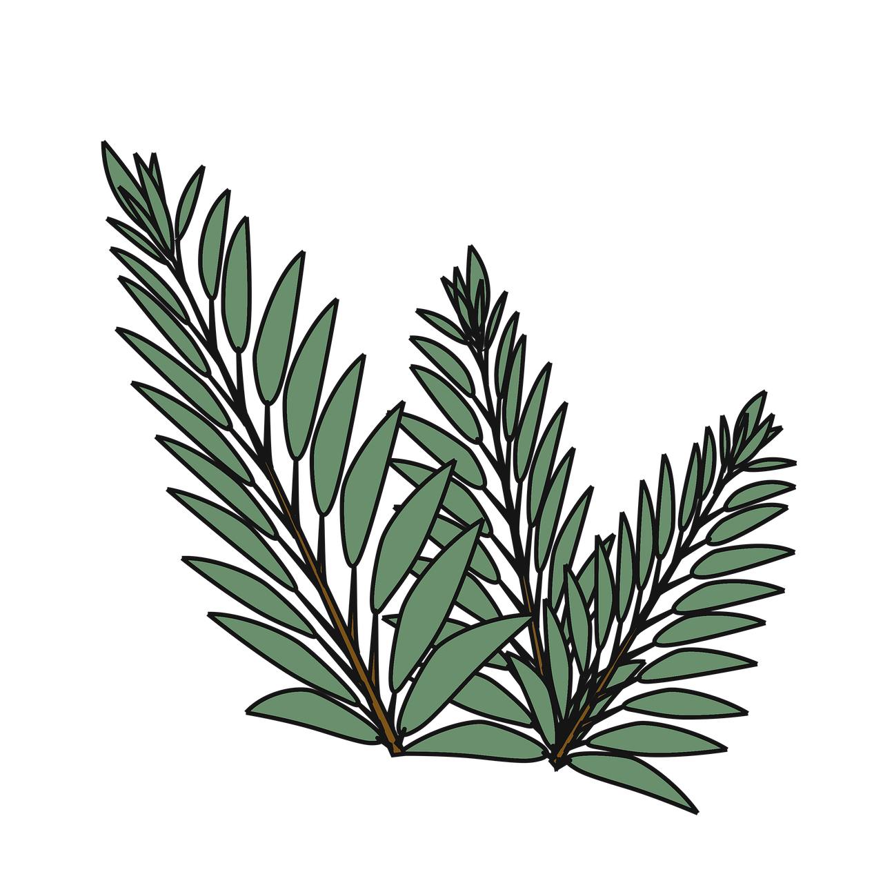 Download Leaves, Branches, Foliage. Royalty-Free Stock Illustration ...