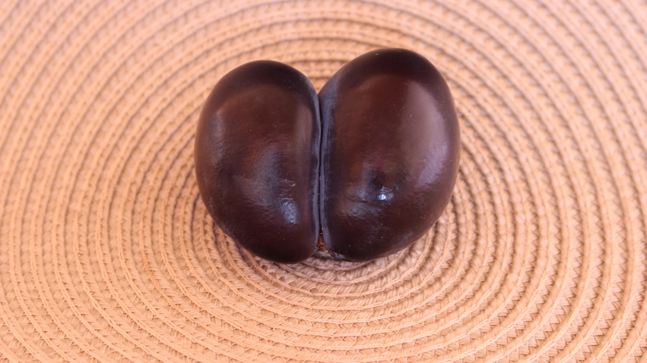 Fruit Prune Prunes - Photo gratuite sur Pixabay - Pixabay