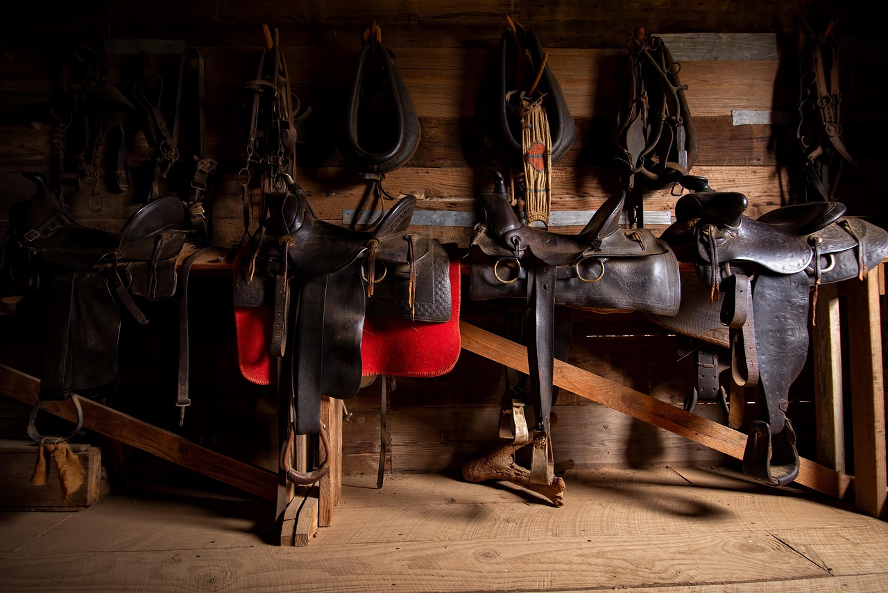 Horse Tack Farm - Free photo on Pixabay - Pixabay