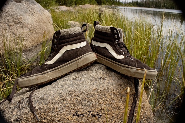 Shoes Vans Nature - Free photo on Pixabay - Pixabay
