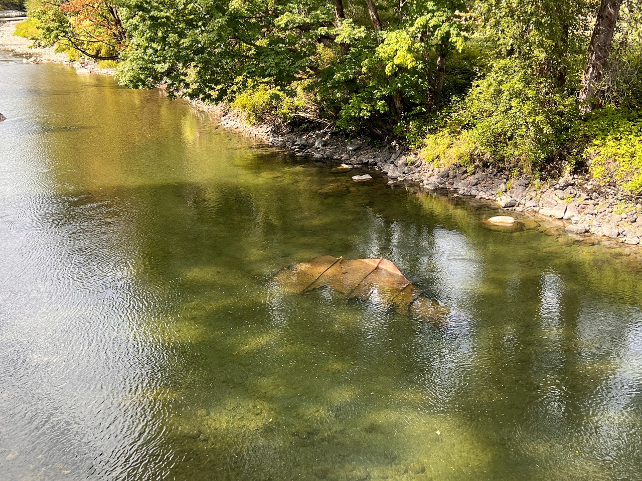 River Nature Litter - Free photo on Pixabay - Pixabay