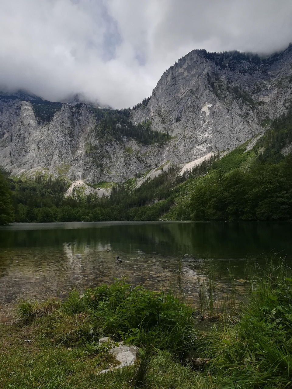 Lake Water Nature - Free photo on Pixabay - Pixabay