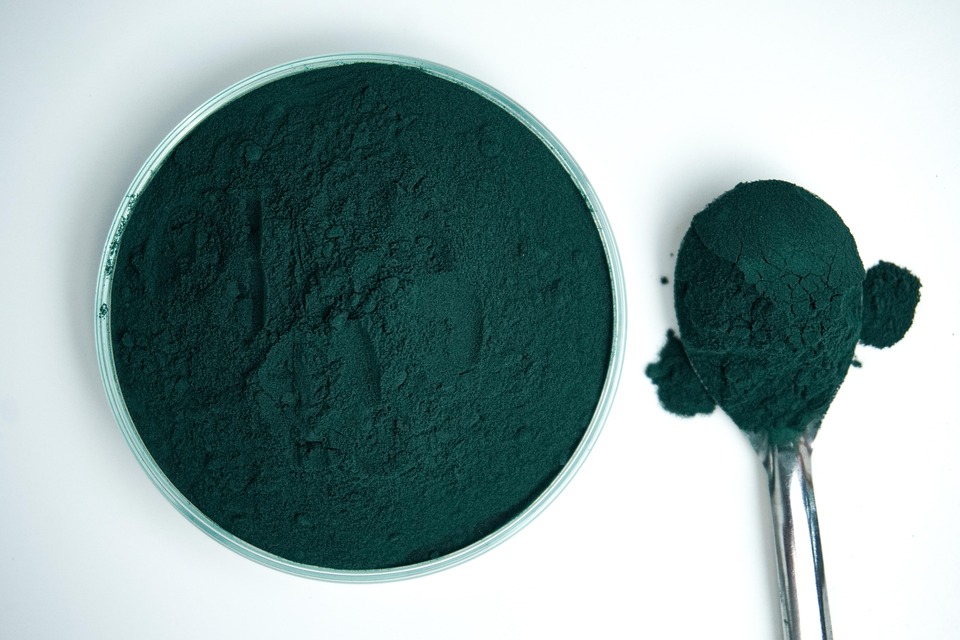 Spirulina made in Treviso, listed here are all the advantages ...