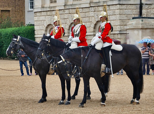Guardias A Caballo Tres Formal - Foto gratis en Pixabay - Pixabay