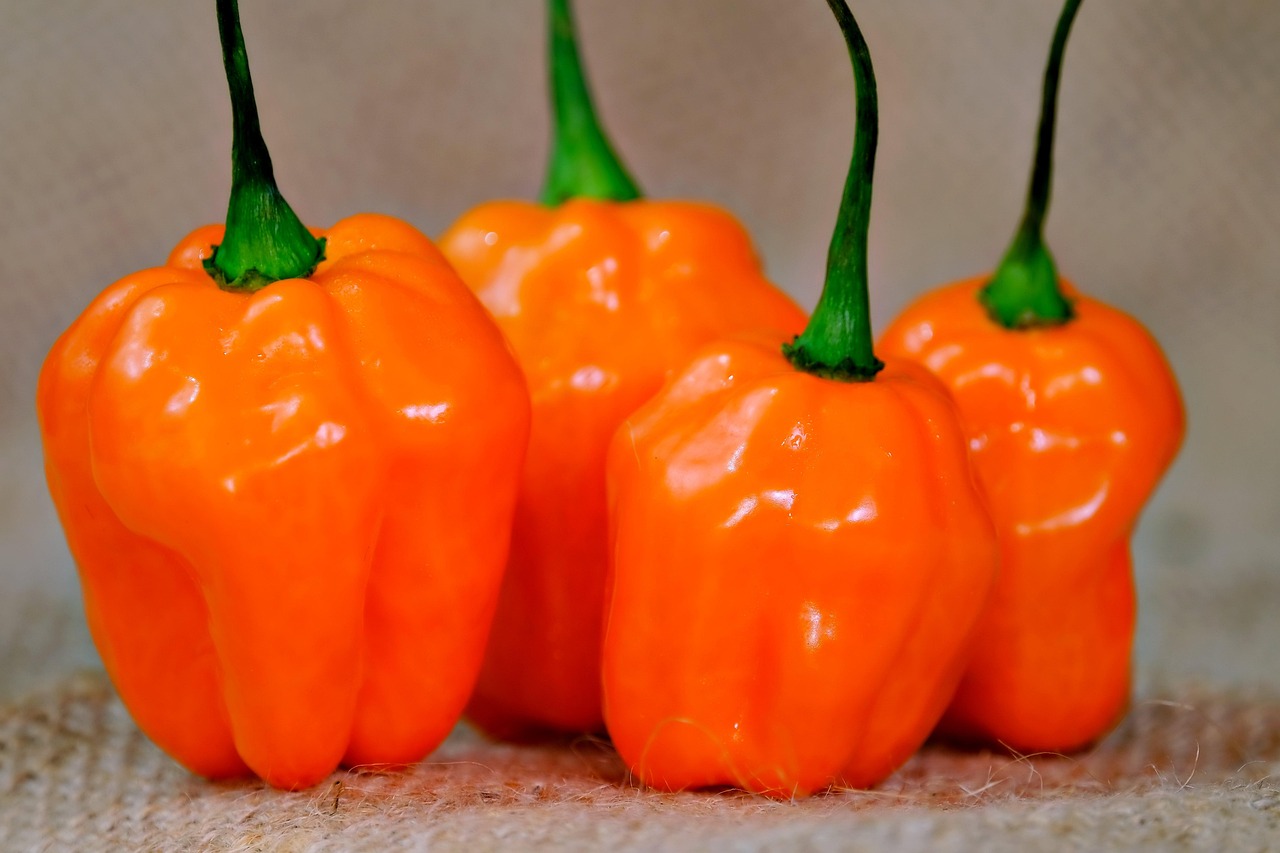 3,000+ Free Chilli & Chili Images - Pixabay