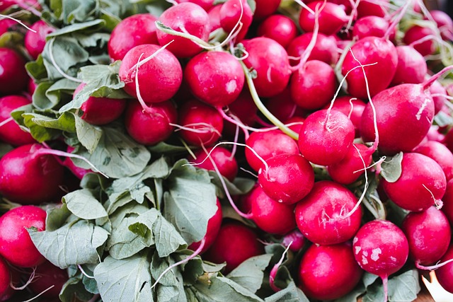 Radieschen Lebensmittel Ernährung - Kostenloses Foto auf Pixabay - Pixabay