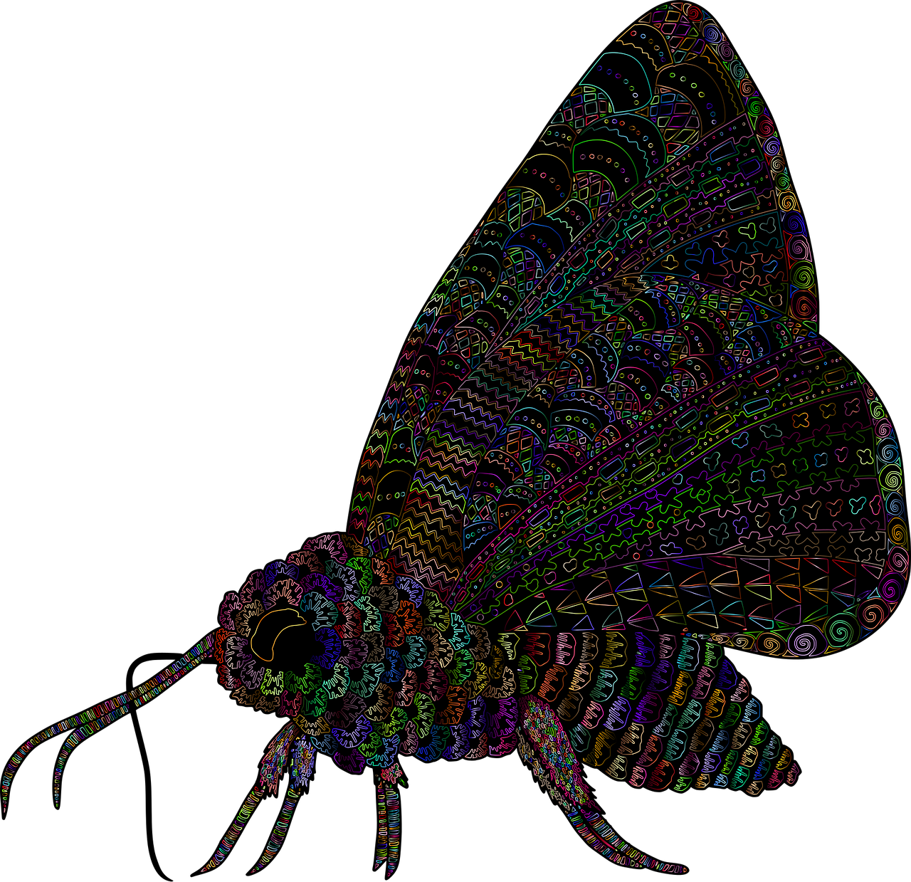 Download Moth Insect Animal Royalty Free Vector Graphic Pixabay Download Moth Insect Animal Royalty Free Vector Graphic Pixabay