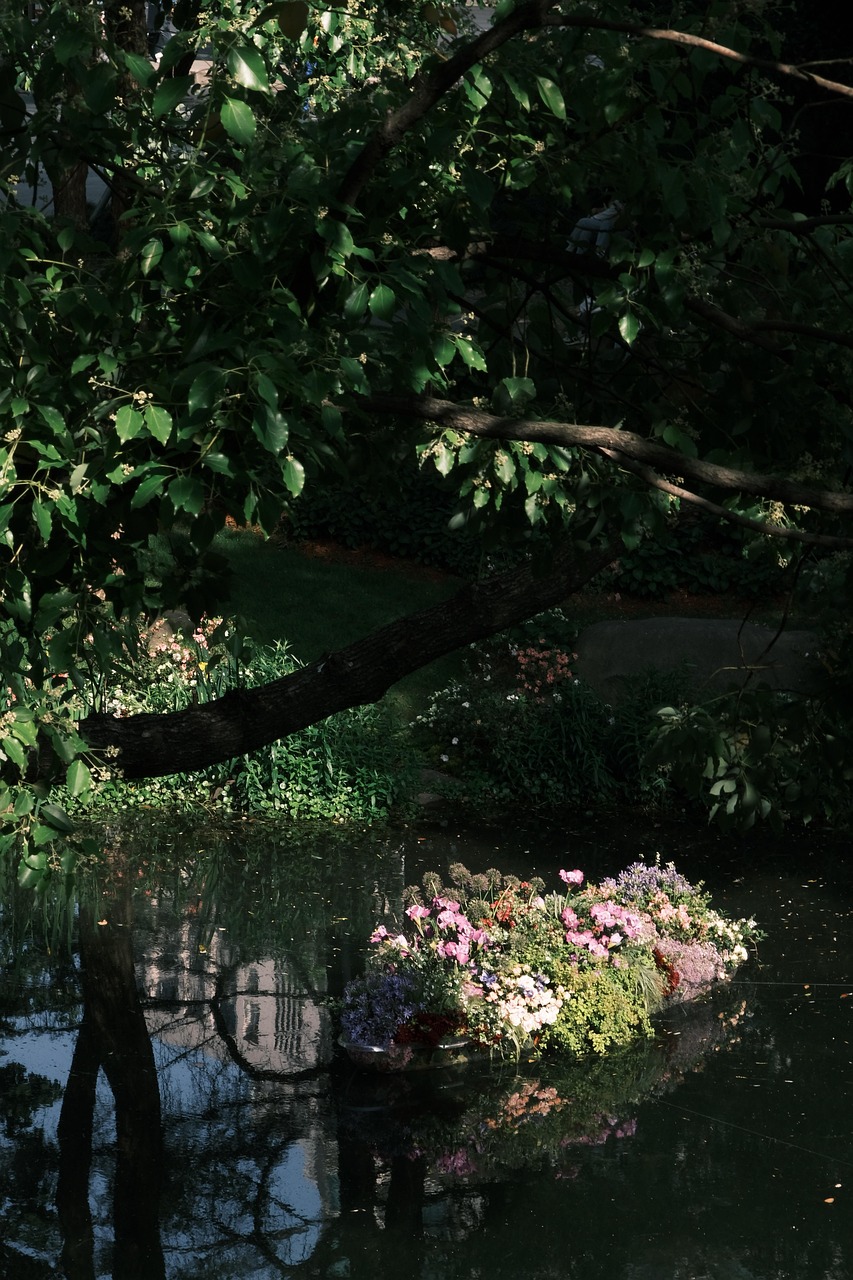 Botanical Garden Park Beautiful - Free photo on Pixabay - Pixabay