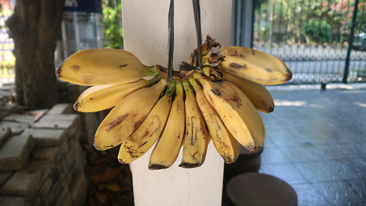 Plátano Saludable Fruta - Foto gratis en Pixabay - Pixabay