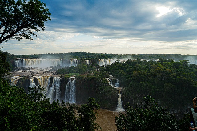 Brazil Argentina Nature - Free photo on Pixabay - Pixabay