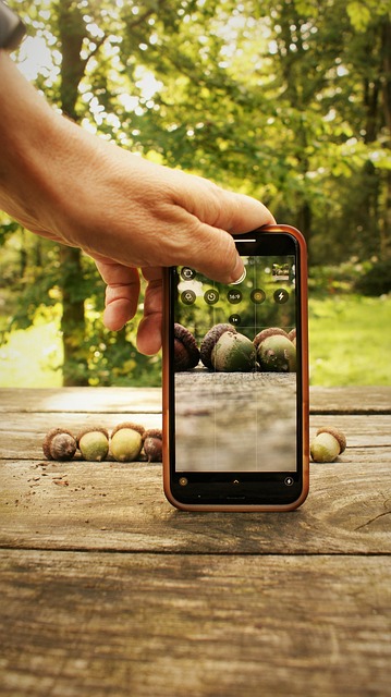 20,000+ Free Phone Camera & Camera Images - Pixabay