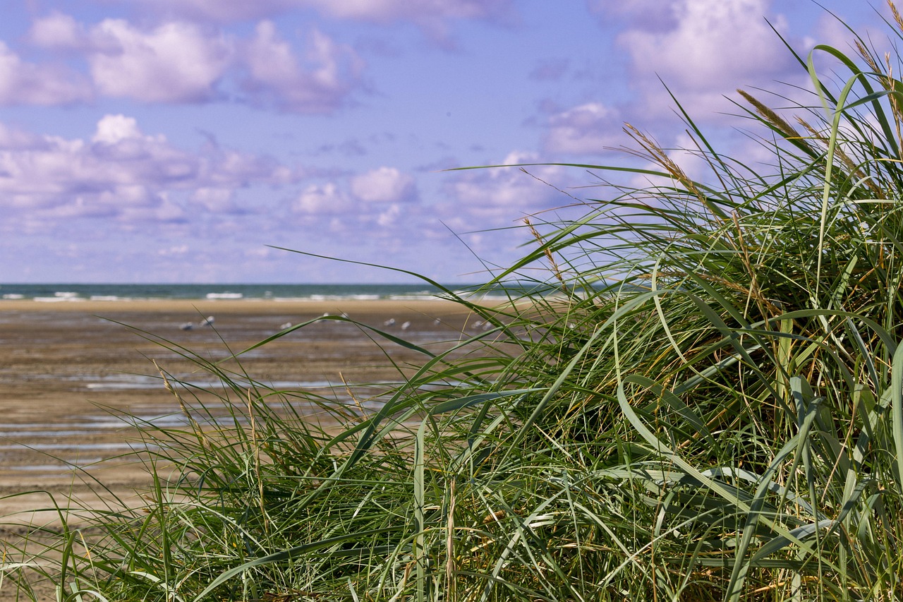 Danemark Fanon Plage La Mer Du - Photo gratuite sur Pixabay - Pixabay