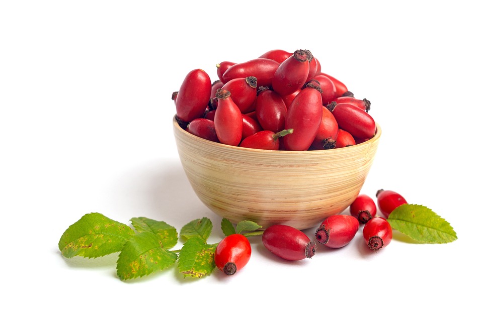 Rosehips Fruit Food Wild - Free photo on Pixabay