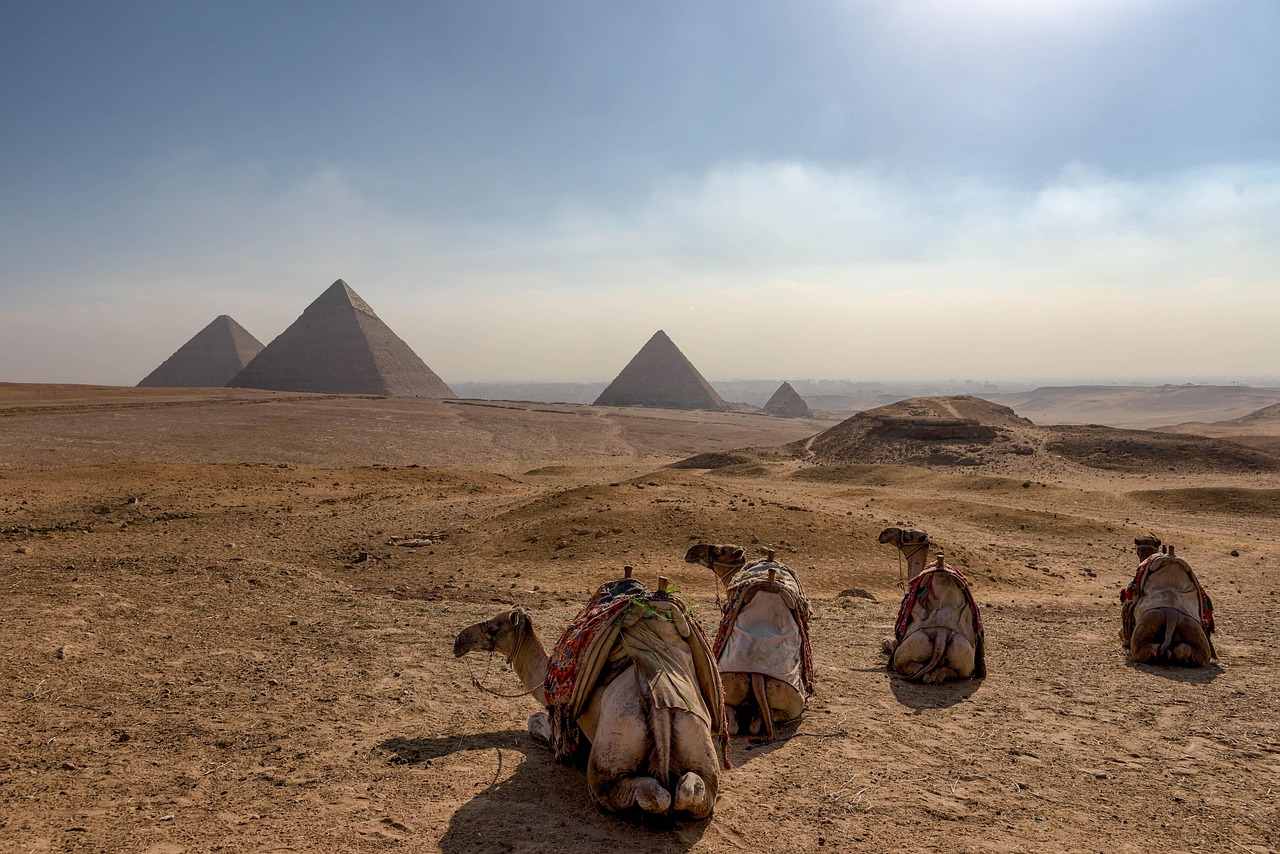 Egypt Pyramids Camels - Free photo on Pixabay - Pixabay