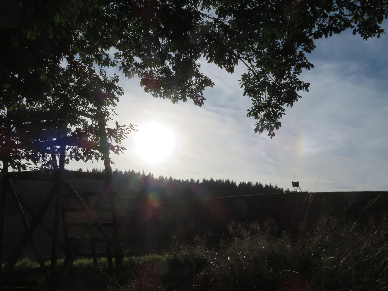Autumn Sun Nature Hunter'S Stand - Free photo on Pixabay - Pixabay