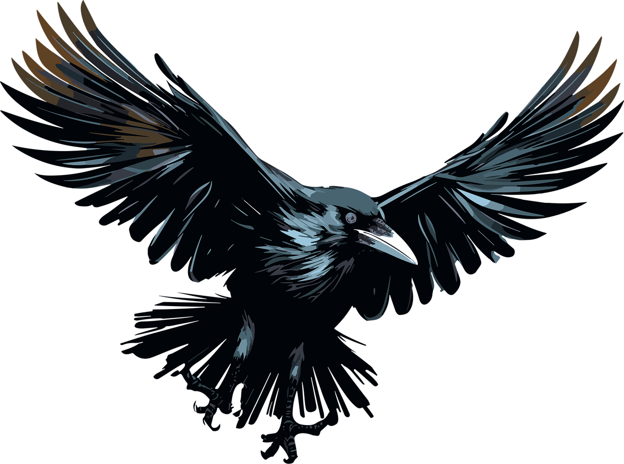 100 000 Free Raven Art Raven Images Pixabay 100 000 Free Raven Art Raven Images Pixabay