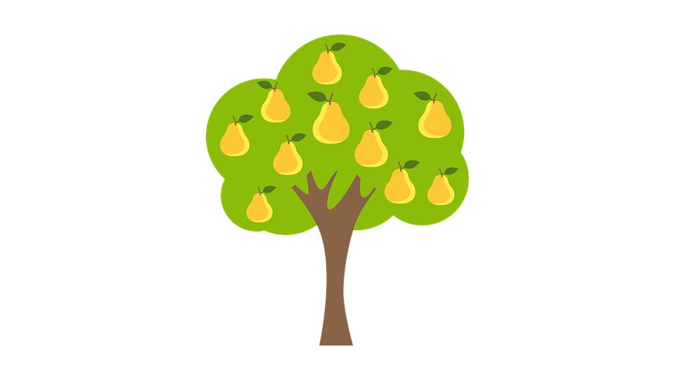Download Hair, Pears, Tree. Royalty-Free Stock Illustration Image - Pixabay