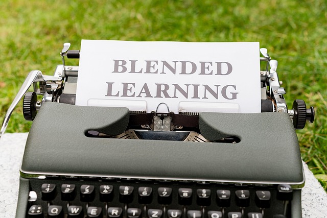 Más de 3 000 fotos de Blended Learning y Learning gratis - Pixabay