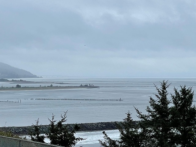 Grays Harbor Bottle Beach - Free photo on Pixabay - Pixabay