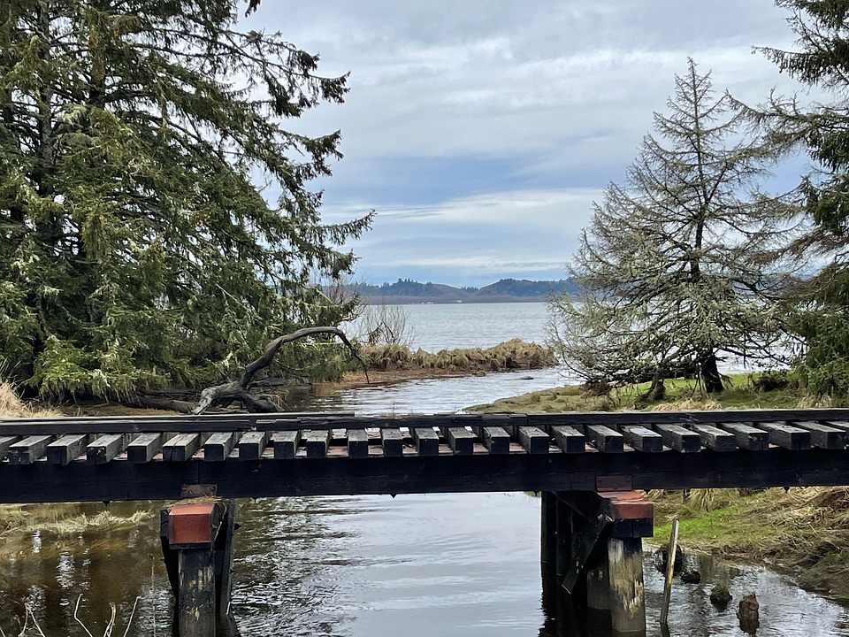 Grays Harbor Bottle Beach High - Free photo on Pixabay - Pixabay