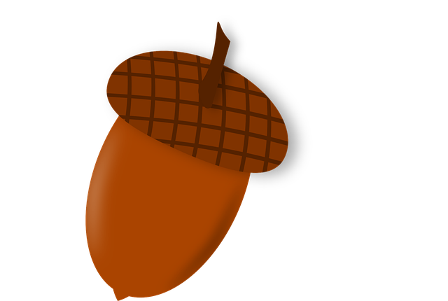 Download Acorn, Fall, Tree. Royalty-Free Vector Graphic - Pixabay