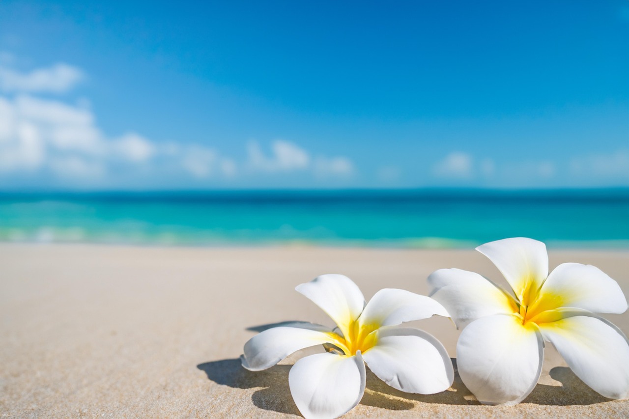 Download Ai Generated, Beach, Flowers. Royalty-Free Stock Illustration ...