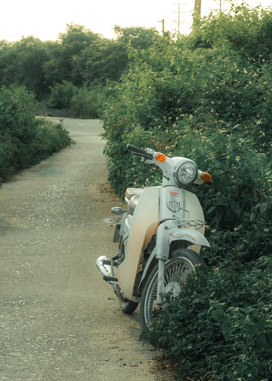Motorcycle Cub Car Natural - Free photo on Pixabay - Pixabay