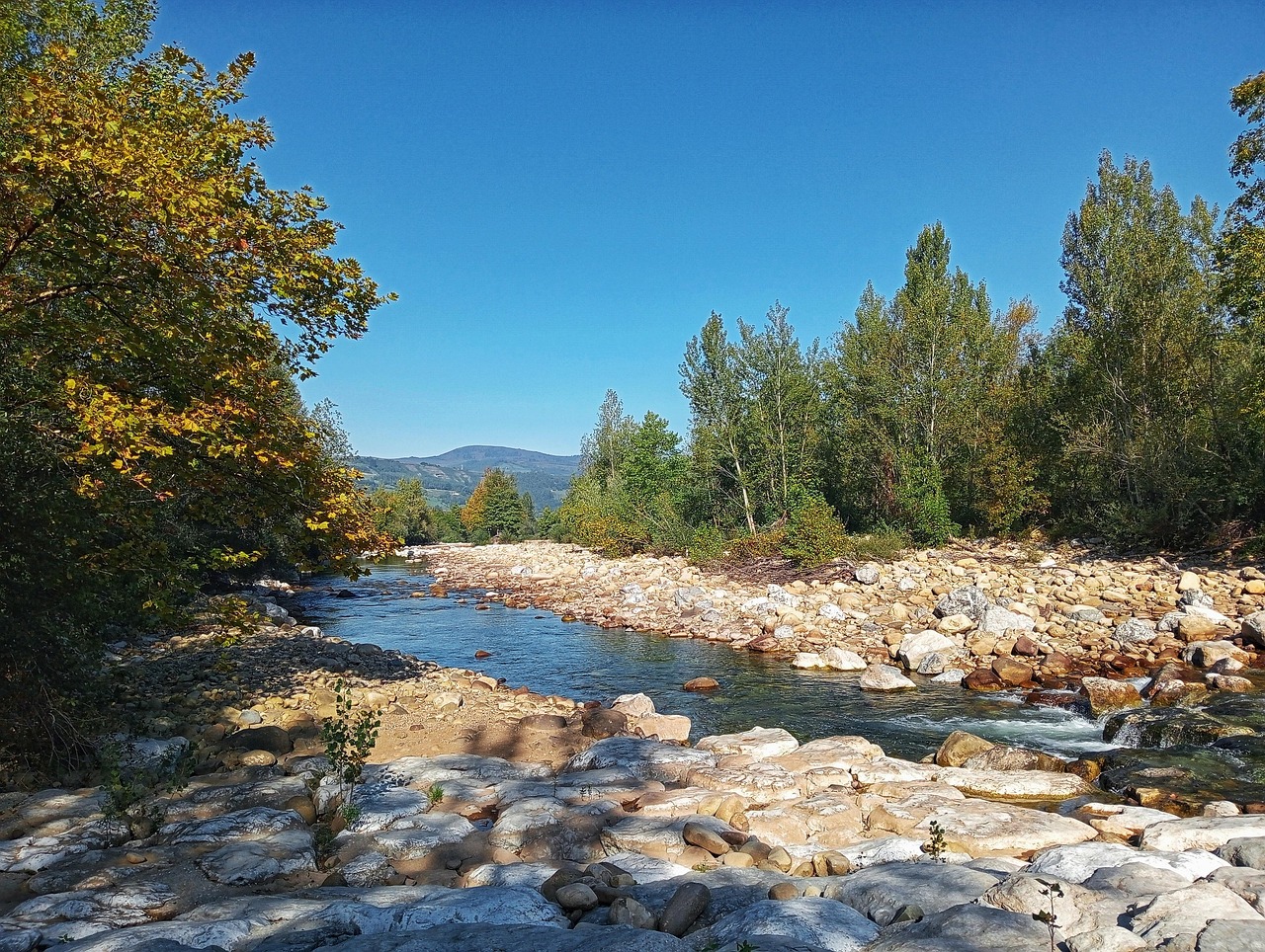 River Nature Darling - Free photo on Pixabay - Pixabay