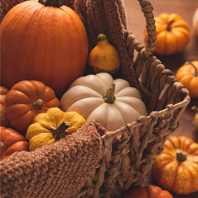 Citrouilles Automne Tombe - Image gratuite sur Pixabay - Pixabay
