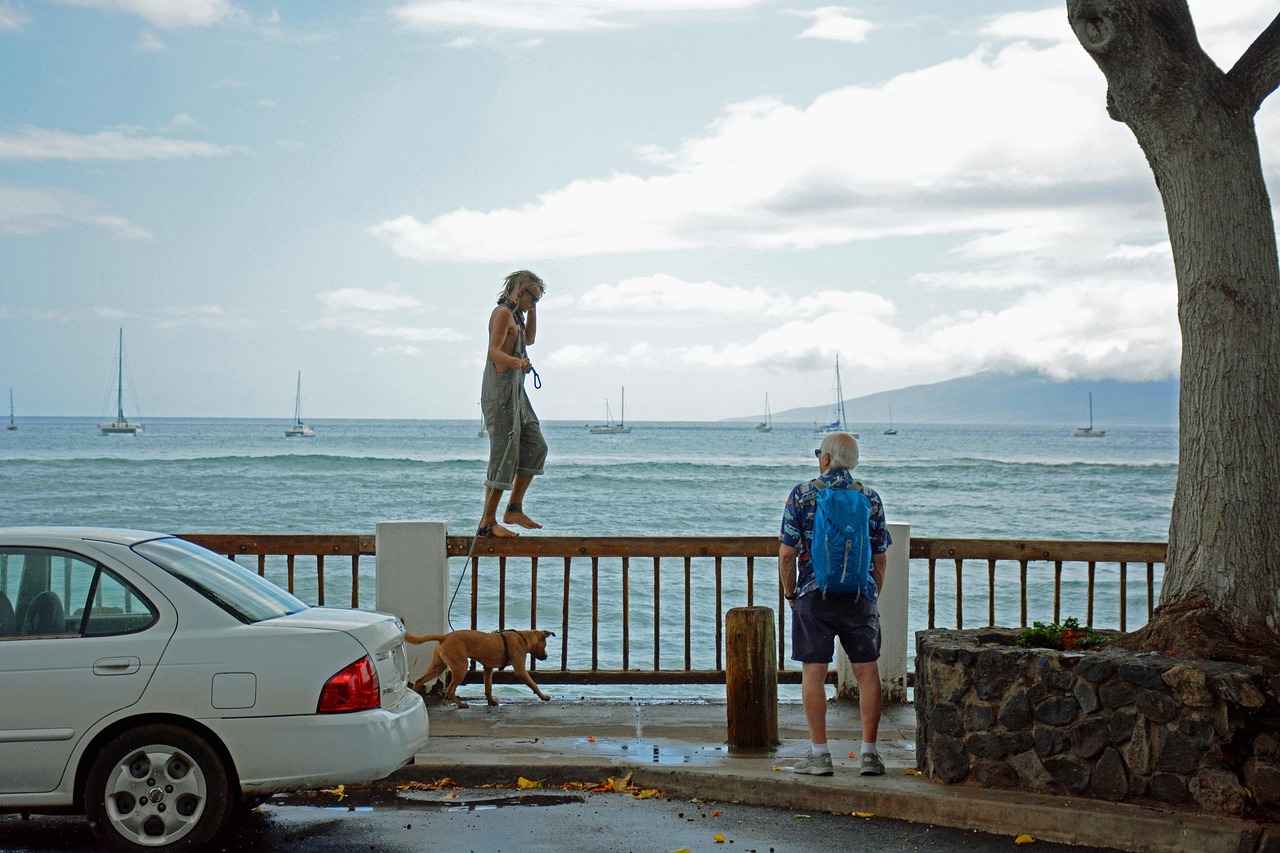 Hawaii Lahaina Dog - Free photo on Pixabay - Pixabay