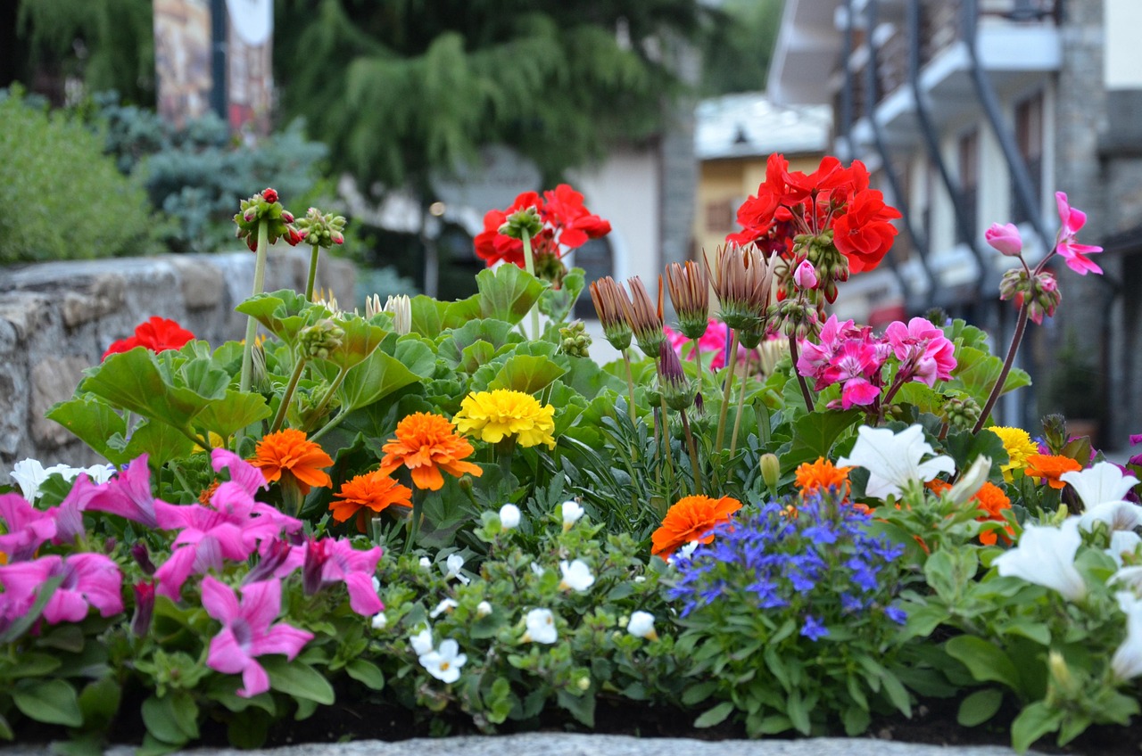 Travel Flowers Italy - Free photo on Pixabay - Pixabay