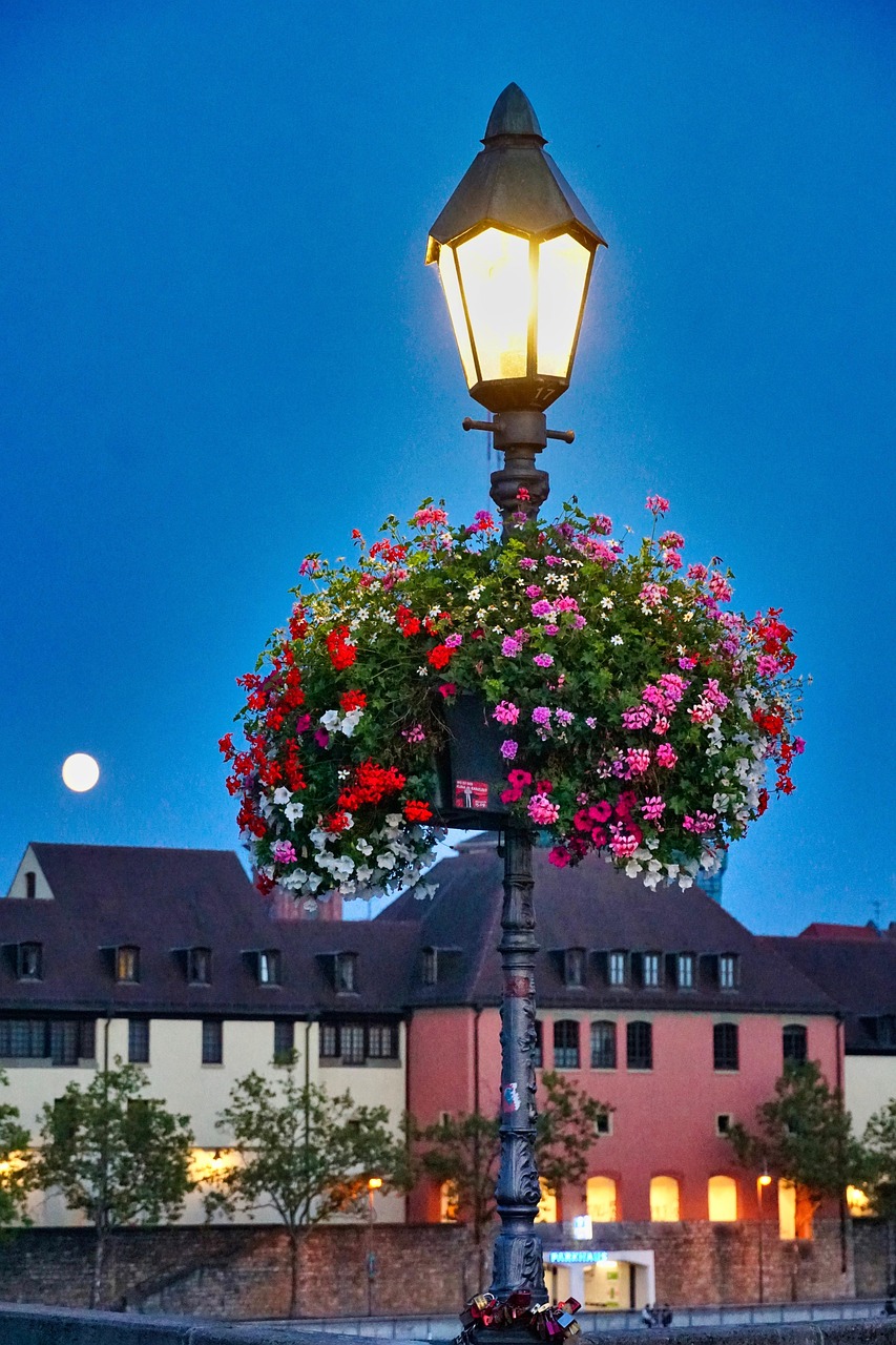 Lampu Bulan Bunga-Bunga - Foto gratis di Pixabay - Pixabay