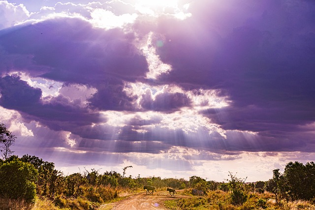Padang Rumput Langit Awan - Foto gratis di Pixabay - Pixabay