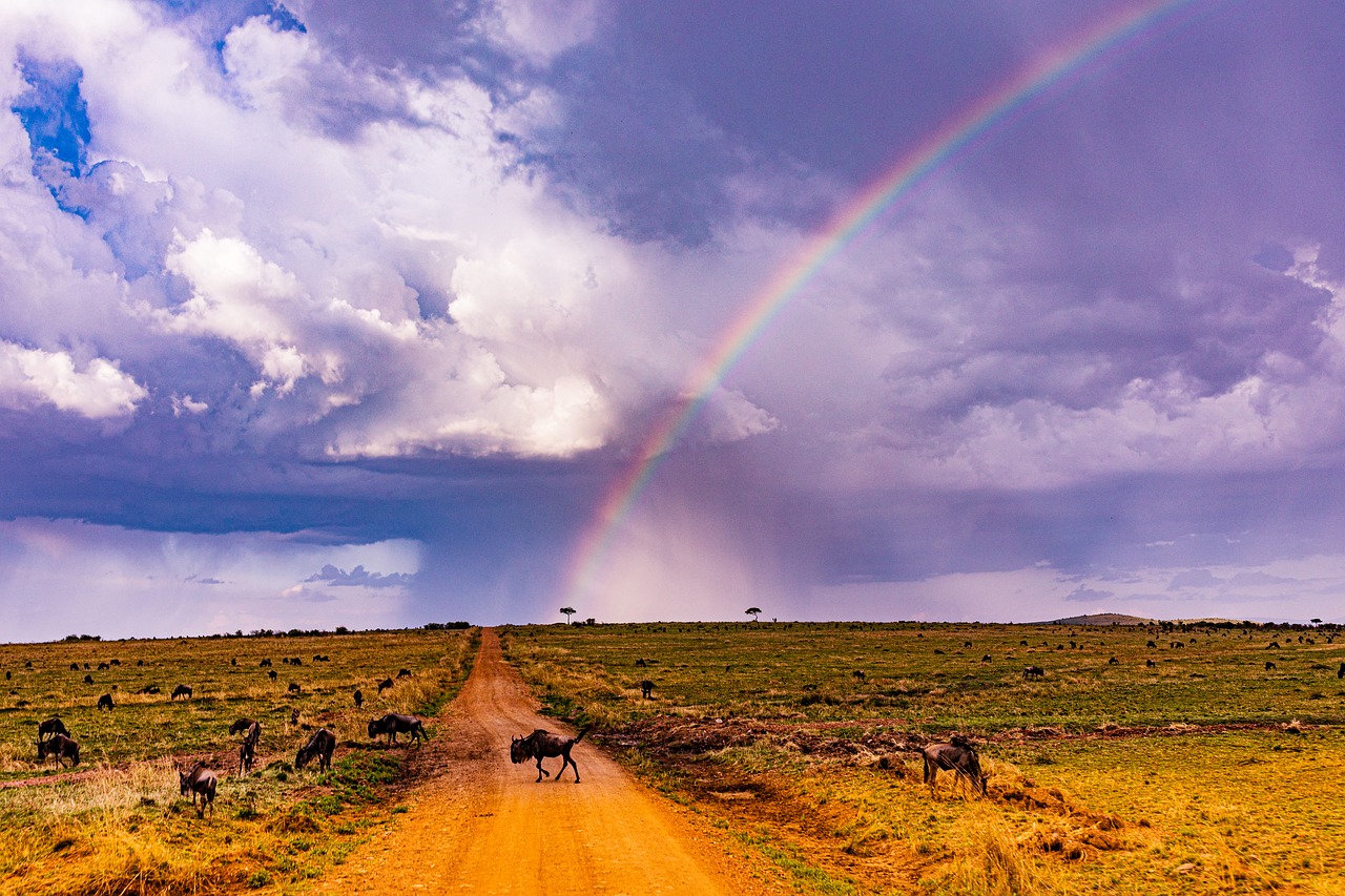 Animales Salvajes Fauna Silvestre - Foto gratis en Pixabay - Pixabay