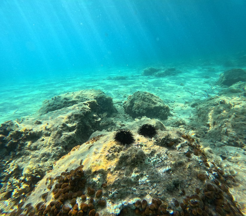 Meer Natur Ozean - Kostenloses Foto auf Pixabay - Pixabay