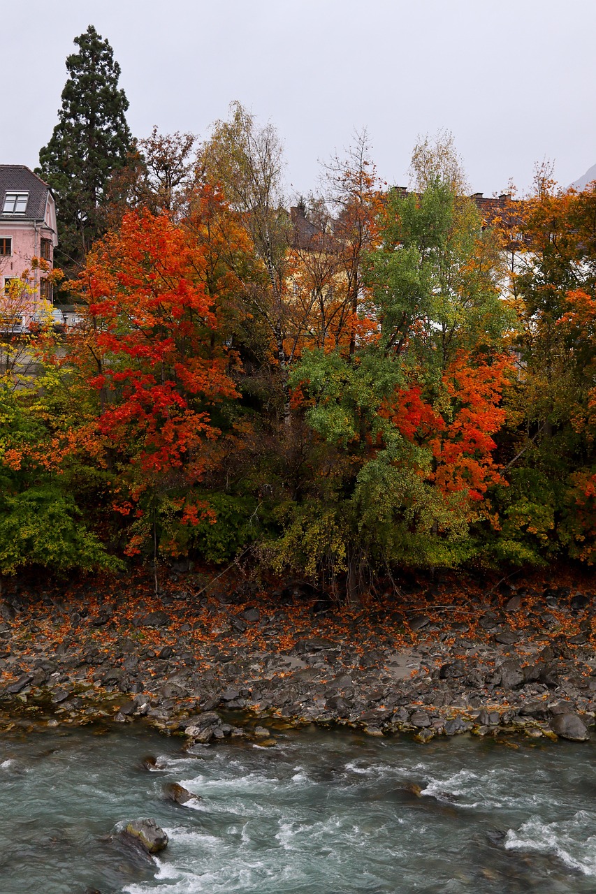Automne Feuilles Fleuve - Photo gratuite sur Pixabay - Pixabay
