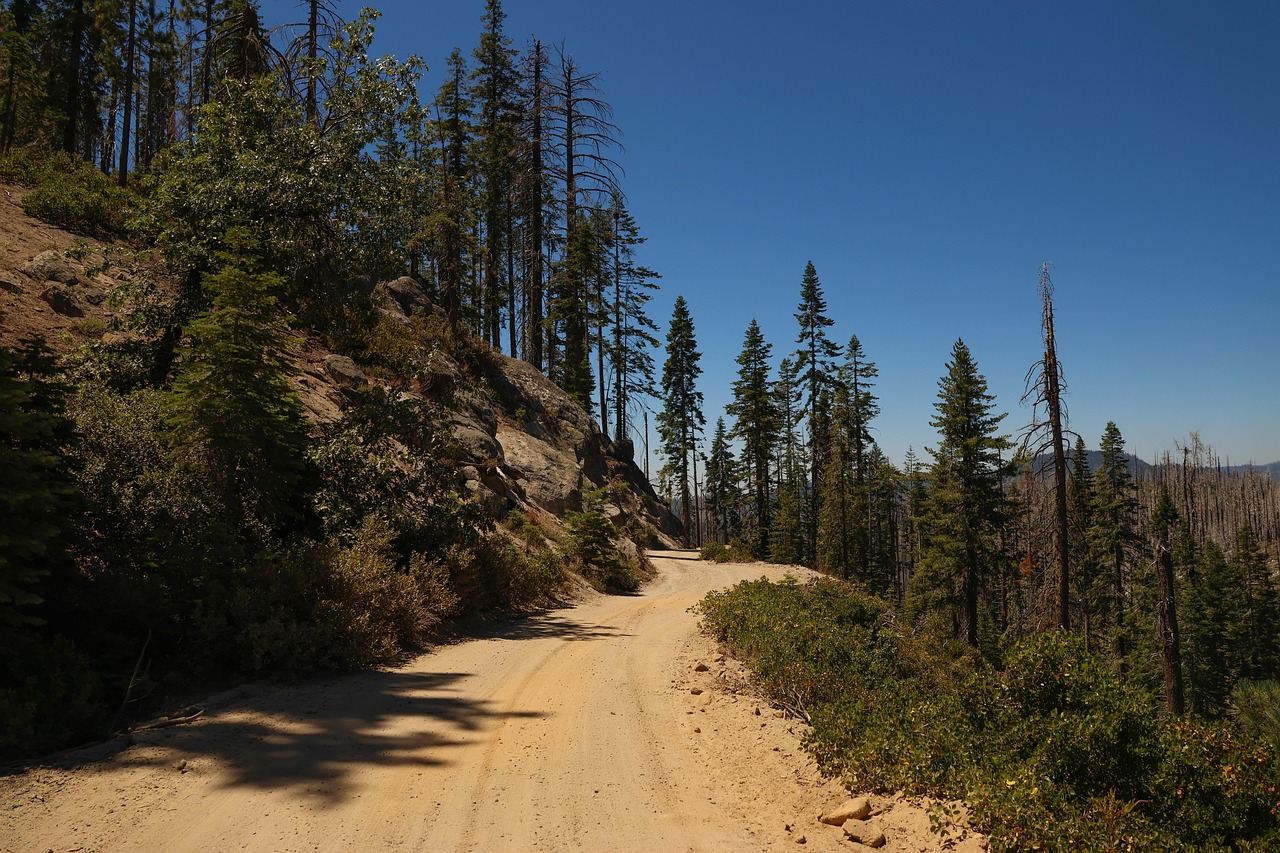 Parc National De Tenaya - Photo gratuite sur Pixabay