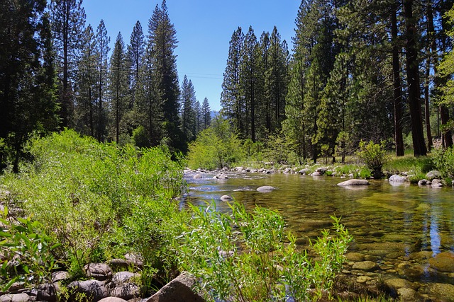 Tenaya-Nationalpark Tenaja - Kostenloses Foto auf Pixabay - Pixabay