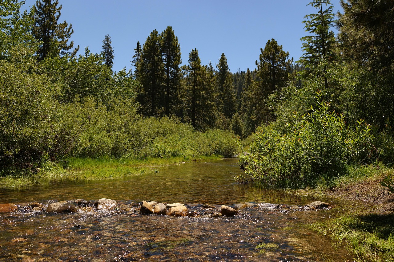 Parc National De Tenaya - Photo gratuite sur Pixabay - Pixabay